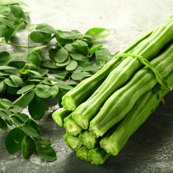 How to Grow Moringa | Step-by-Step Home Gardening Guide