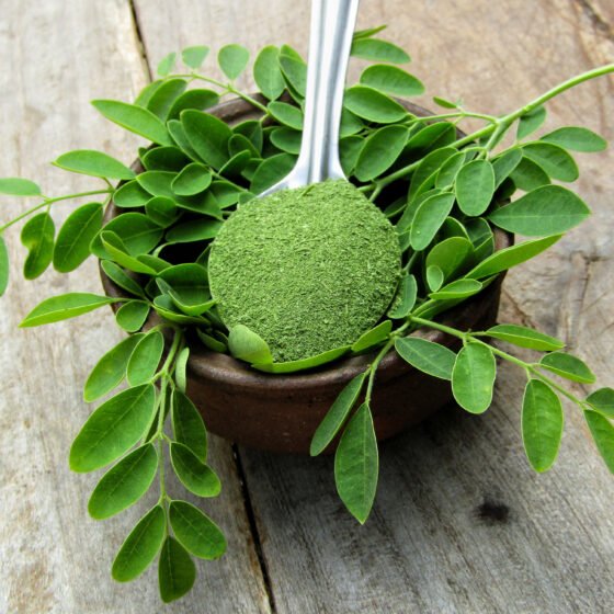 How to Grow Moringa | Step-by-Step Home Gardening Guide